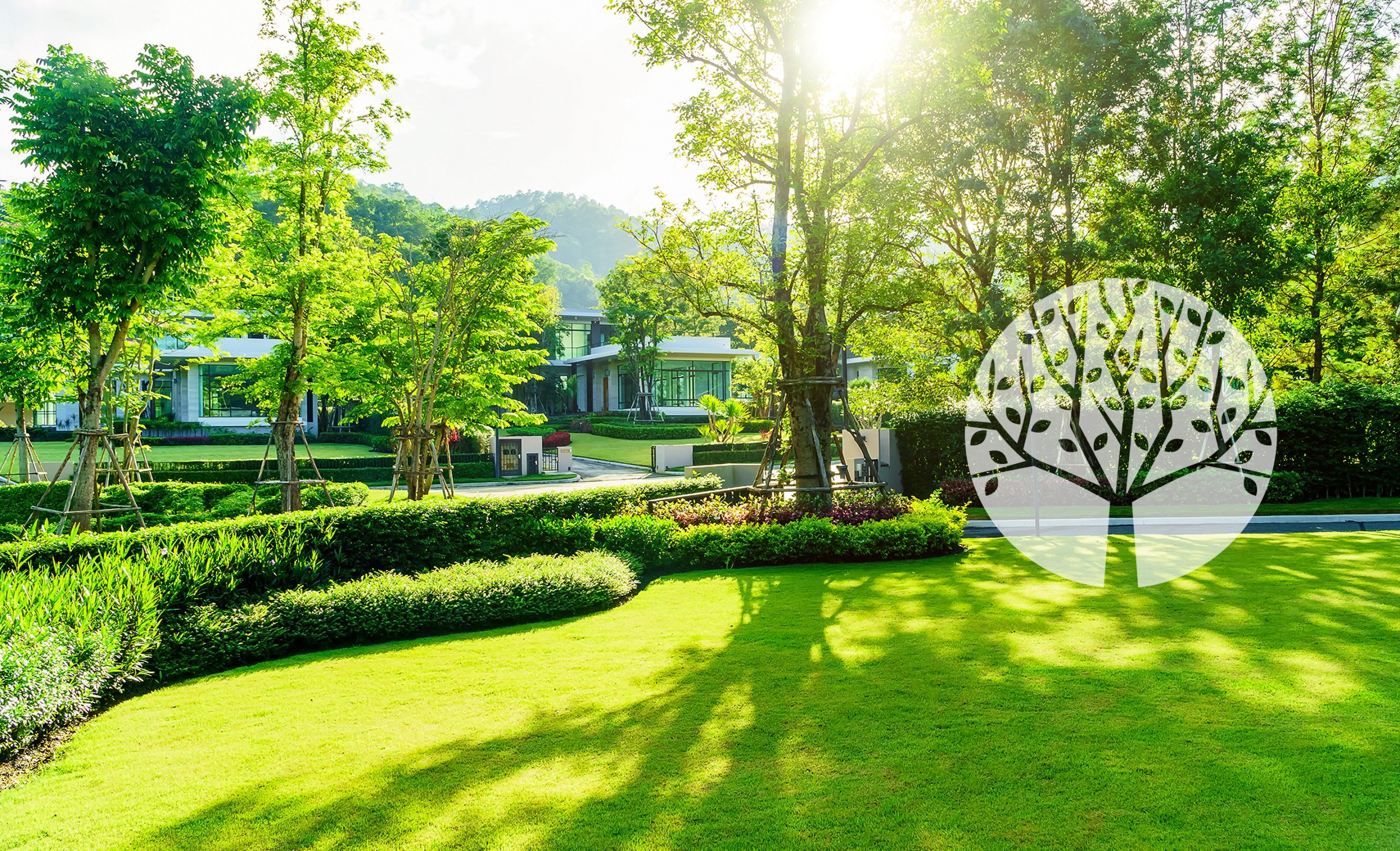 Green Surgery | Professional Hedge Trimming Service Perth